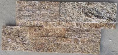 Chine Le granit jaune S a coupé le revêtement en pierre, panneau naturel de pierre de 18x35 S, placage en pierre mince de vrai granit à vendre