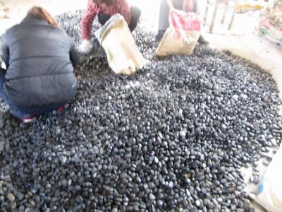 Chine Pierres noires polies de caillou, pierres noires de pavé, pierres noires de rivière, cailloux de rivière de pavé, aménageant des cailloux en parc à vendre