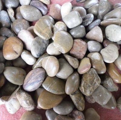 Chine Pierres polies de caillou, pierres colorées de pavé, pierres multicolores de rivière, cailloux de rivière de pavé, aménageant des cailloux en parc à vendre