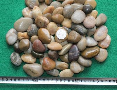 Chine Pierres polies de caillou, pierres colorées de pavé, pierres multicolores de rivière, cailloux de rivière de pavé, aménageant des cailloux en parc à vendre