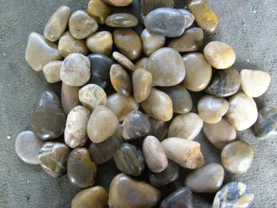 Chine Pierres polies de caillou, pierres colorées de pavé, pierres multicolores de rivière, cailloux de rivière de pavé, aménageant des cailloux en parc à vendre
