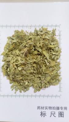 중국 Senna leaf extract,.Dry Cassia angustifolia vahl Leaf, 100% Dry Senna leaf Powder 판매용