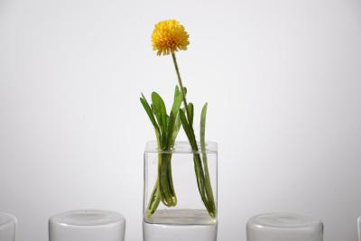 China Candle holder, Heat-resistant glass, borosilicate glass, decorative glass, hanging ball, flower vase for sale
