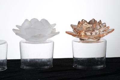 China Candle holder, Heat-resistant glass, borosilicate glass, decorative glass, hanging ball, flower vase for sale