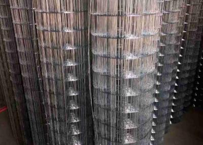 중국 산업 적용을 위한 316개의 닦은 0.5-2m 폭 Ss 웰드 메쉬 판매용