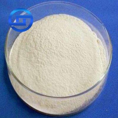 China Xanthan Gum Oil Drilling Grade/Xanthan Gum industrial grade With Lowest Price for sale