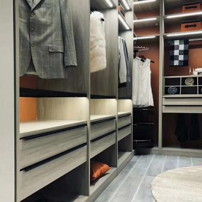 Chine Promenade adaptée aux besoins du client de contreplaqué de garde-robe de mur dans la garde-robe de chambre à coucher de cabinet moderne à vendre