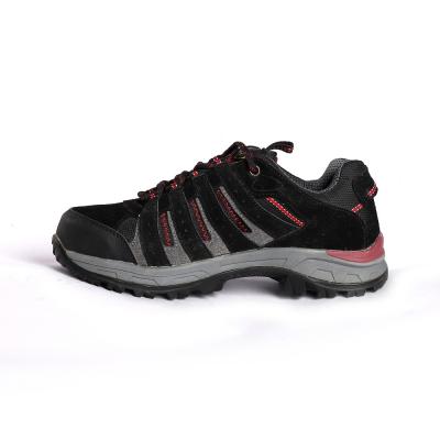Cina Shengjie Confortevole EVA suola interna di cuoio MD Sole di acciaioDolce fino a lavoro Unisex Design Calzature di sicurezza di moda in vendita