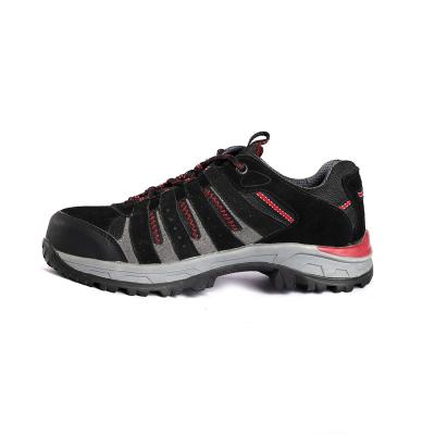 Cina Shengjie Confortevole EVA Resistente allo slittamento Occhiali da vista in metallo Griglia di cuoio Superiore Sport MD Sole Scarpe di sicurezza a taglio basso in vendita