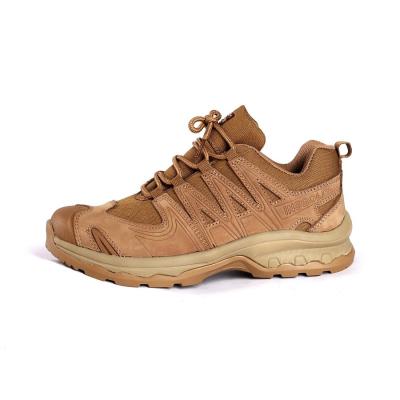 Cina Shengjie Lace Up Factory Standard Stivali da trekking con suola di gomma leggera EVA Stivali da scalata di moda per l'aria aperta in vendita
