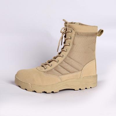 Cina Shengjie Factory Scarpe da trekking ultra leggere con maglia traspirante e PU resistente Nuovo tipo Scarpe da trekking unisex outdoor in vendita