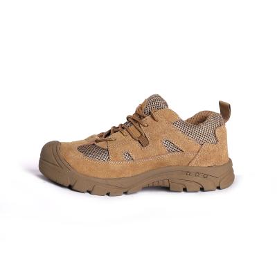 Cina Scarpe di protezione anti-olio con capo basso e scarpe di sicurezza in acciaio in vendita
