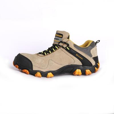 Cina Calzature di sicurezza a taglio basso con chiusura con lacciatura a lingua di nylon conforme alla norma ASTM e certificate ASTM in vendita