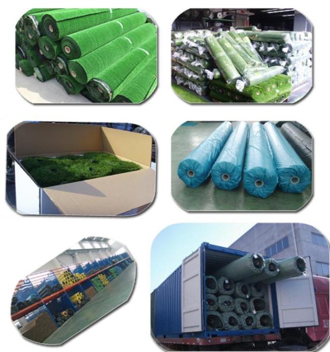 Erba artificiale 30MM senza piombo del sintetico decorativo del PE per l'esposizione della finestra