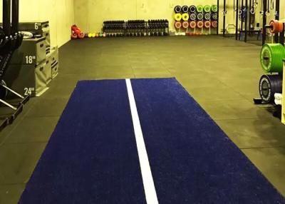 Chine Gazon artificiel de traitement 20mm de gymnase de force pour la forme physique croisée doucement émouvante à vendre