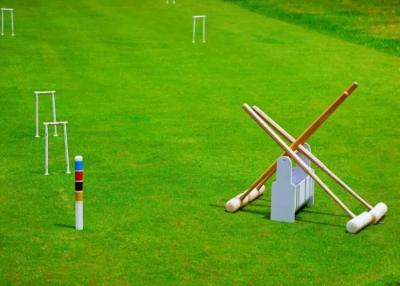 Cina Erba artificiale dell'hockey amichevole di Eco all'aperto con verde del giacimento del filato del PE in vendita