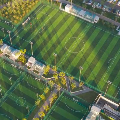 Cina Erba artificiale del tappeto erboso sintetico verde mettente dell'erba del paesaggio di calcio in vendita