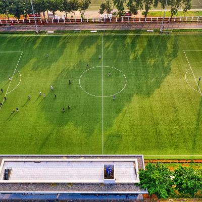 Cina erba sintetica di calcio all'aperto artificiale della scuola del PE di 50mm in vendita