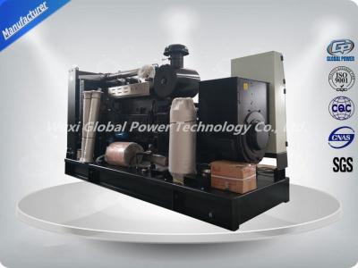 China 250 KW / 313 KVA Open Diesel Generator Global Power Diesel Powered Generator for sale