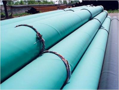 Cina La fusione ha legato il rivestimento a resina epossidica della polvere in vendita