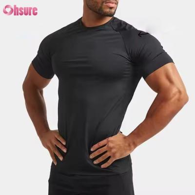 China Custom Polyester Spandex Lightweight Slim Fit Raglan Sleeve Quick Muscle Training Top Gym t Shirt for Men for sale