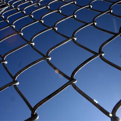 Cina Collegamento a catena rivestito del PVC che recinta per la vendita in vendita