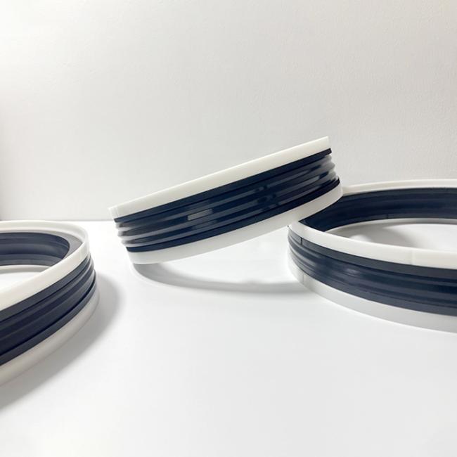 TPM Combined Piston Seal