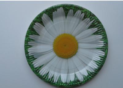 Chine Plat fait sur commande de papier de taille de plat formant la machine 220V 50Hz favorable à l'environnement à vendre