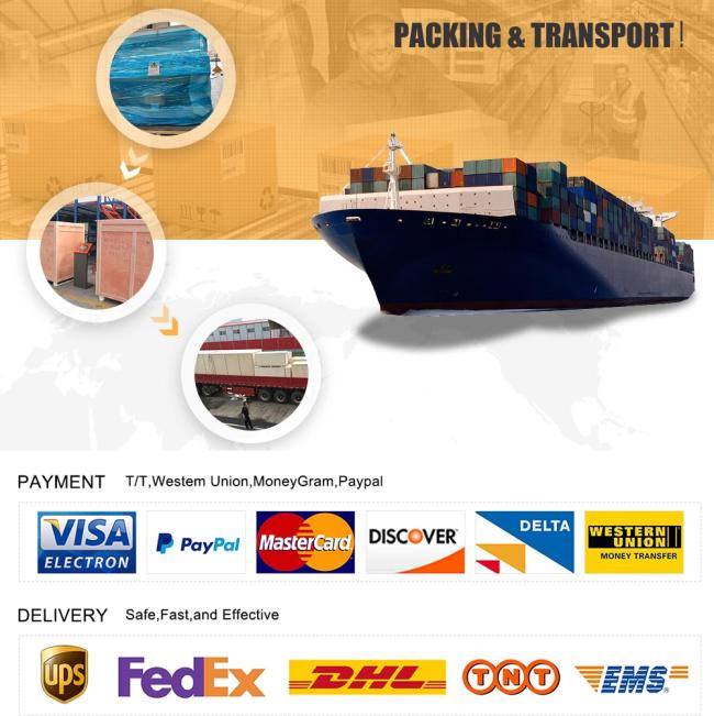 AI Coffee Color Sorter with Image Recognition for Efficient Green Bean Separation 1