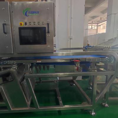 China Professional Colour Sorter Machine with Dual Definition Resolution Cameras for sale