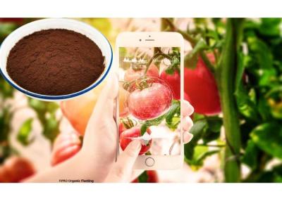 Κίνα 20% Mino οξέων λ-άλφα σκόνη ISO 9001 λιπάσματος Biostimulant οργανική προς πώληση