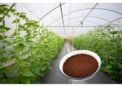 Chine Poudre organique d'engrais d'acide aminé libre de Biostimulant 20% d'azote de 13% à vendre