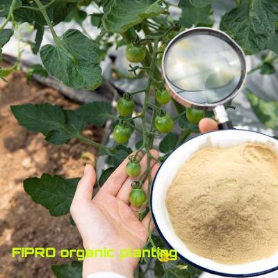 Κίνα Hydrolysate πρωτεΐνης σόγιας οργανικό λίπασμα αμινοξέος προς πώληση