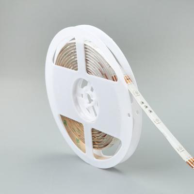 중국 스마트 와이파이 5050 SMD LED 12V 24V 5M IC2811 유연한 야외 2835 RGBIC RGB 판매용