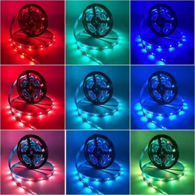 중국 스마트 와이파이 5050 SMD LED 12V 24V 5M IC2811 유연한 야외 2835 RGBIC RGB 판매용