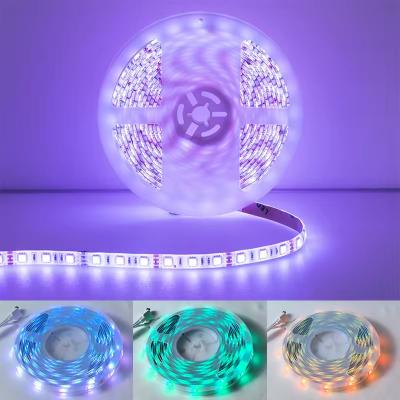China Holiday Light 12V 5M Rgb Wifi Waterproof Remote Controlled Smart Strip Lights for sale
