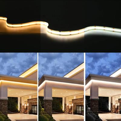 China 560LEDs COB LED Strip 90 CRI CCT Flexible COB 3M con adaptador y controlador de micro RF en venta