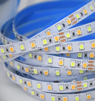 중국 공장 판매 2색 CCT LED 스트립 라이트 24v 색상 온도 조절 120led 12v 라이트 2835 LED 스트립 장식 판매용
