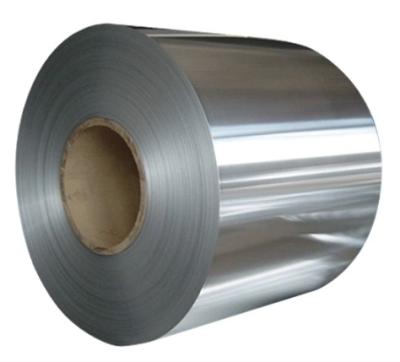 Cina Film di plastica in PE rivestito di metallo per animali domestici per imballaggio/lamellazione/isolamento Larghezza 100-1800 mm in vendita