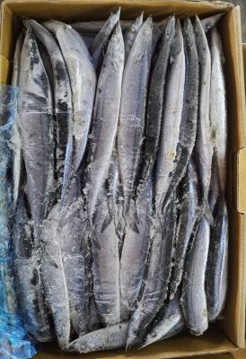 Ειρηνικά Saury 1# BQF Seafrozen ψάρια με τη μαζική συσκευασία