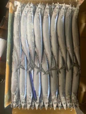 Παγωμένα ειρηνικά Saury 2# BQF ψάρια με υψηλό - πρωτεΐνη