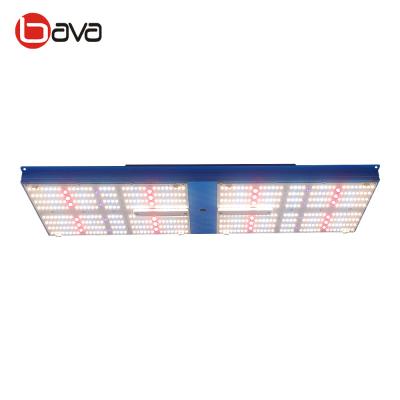 Κίνα Οι κβαντικές οδηγήσεις πινάκων 2700k 240W BAVA αυξάνονται το ανοικτό κόκκινο UV για τις ιατρικές εγκαταστάσεις προς πώληση