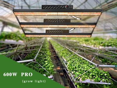 중국 IP20 1560Umol/s UV IR LED 성장 빛 600w V4 Samsung Lm301h AC277V 판매용