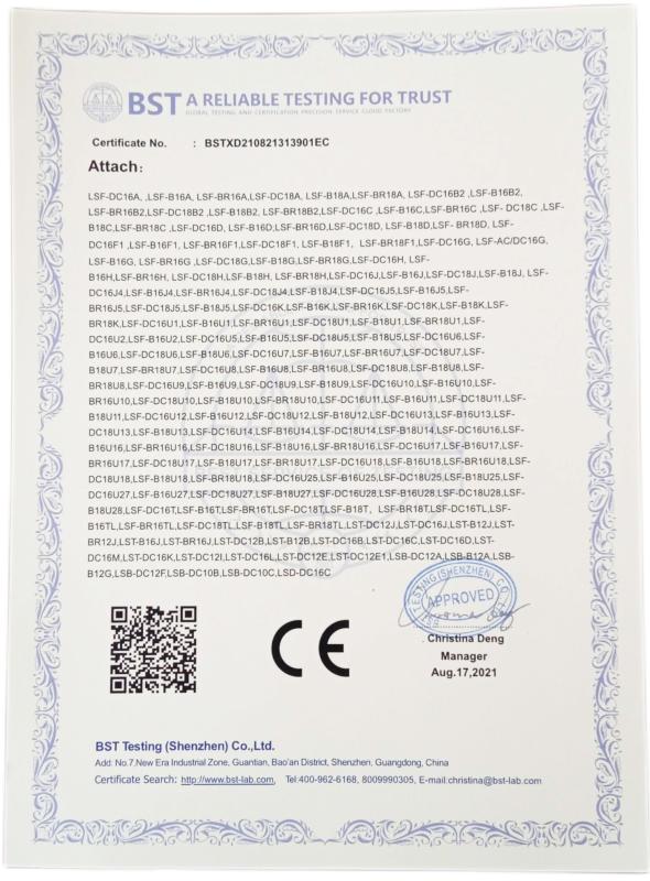 - Foshan Lisheng Technology Co., Ltd.