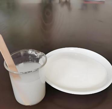Modified Corn Starch for Gypsum Board Production