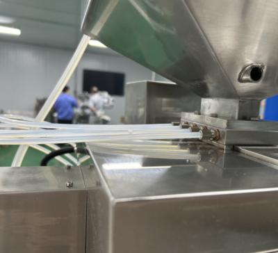 Κίνα Μηχανή ενσωμάτωσης Softgel 6 ιντσών με σύστημα οδήγησης κινητήρα προς πώληση