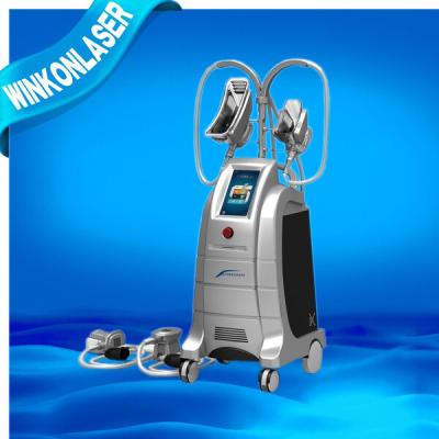 Cina Cryolipolysis 4 tratta la macchina grassa di raffreddamento potente di riduzione di forma del corpo in vendita
