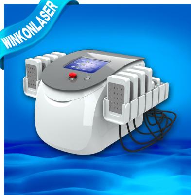 Cina Macchina portatile professionale/corpo del laser di Lipo che dimagrisce macchina per uso domestico in vendita