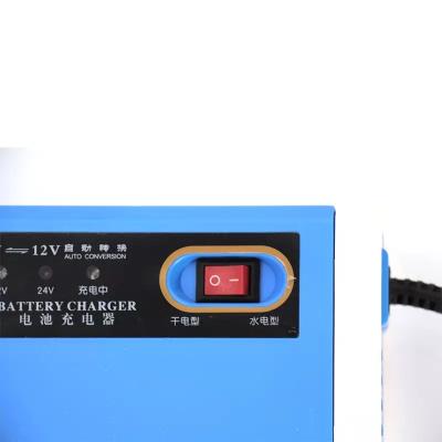 China Smart Portable Bike Car 12 Volt 24v Lead Acid Trickle Charger IP31 for sale