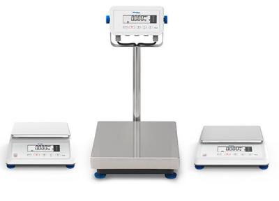 China High Precision Bench Weighing Scale For Industry Multi Functional Weighing Solution for sale